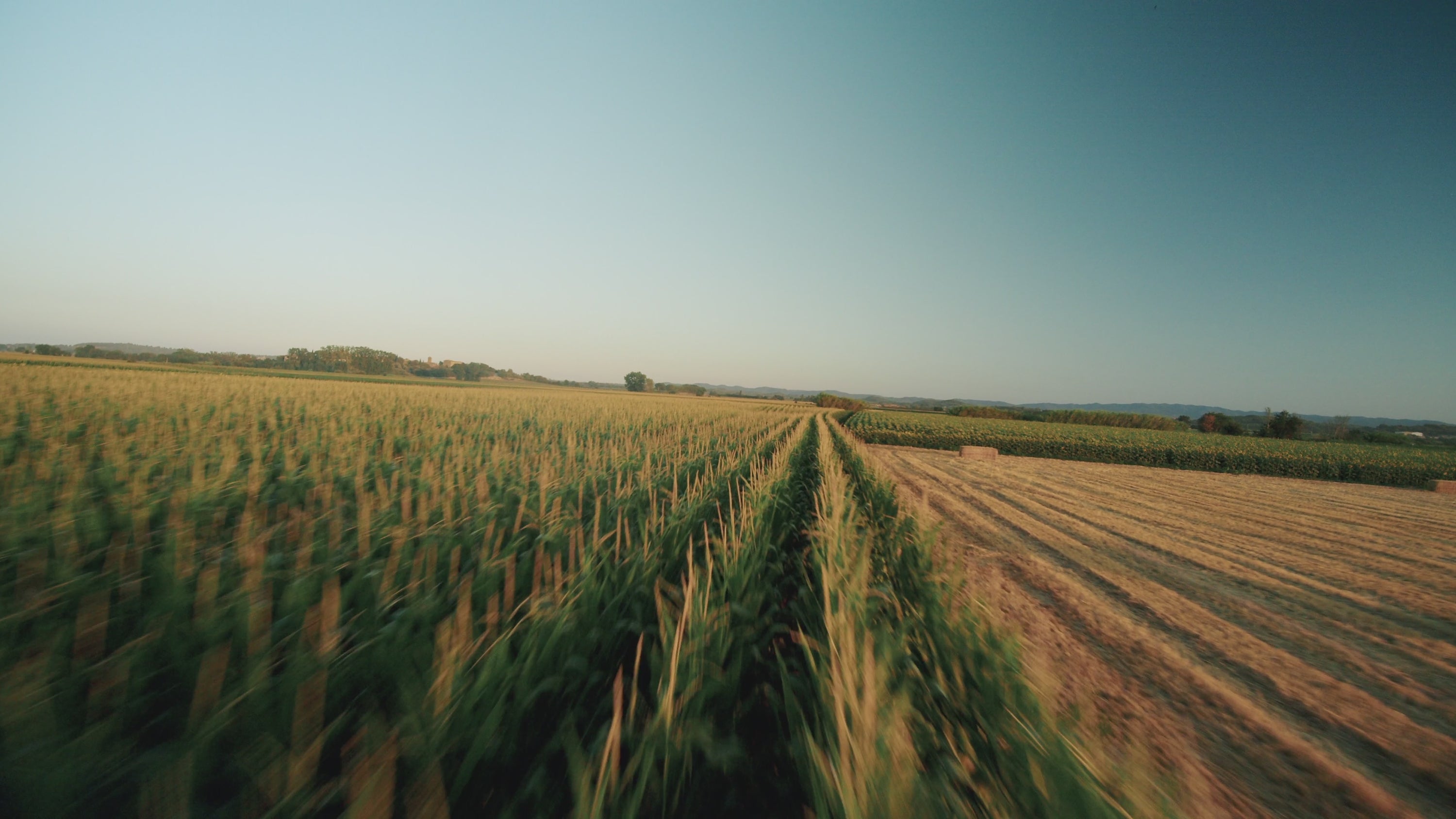 Cypress County Economic Development